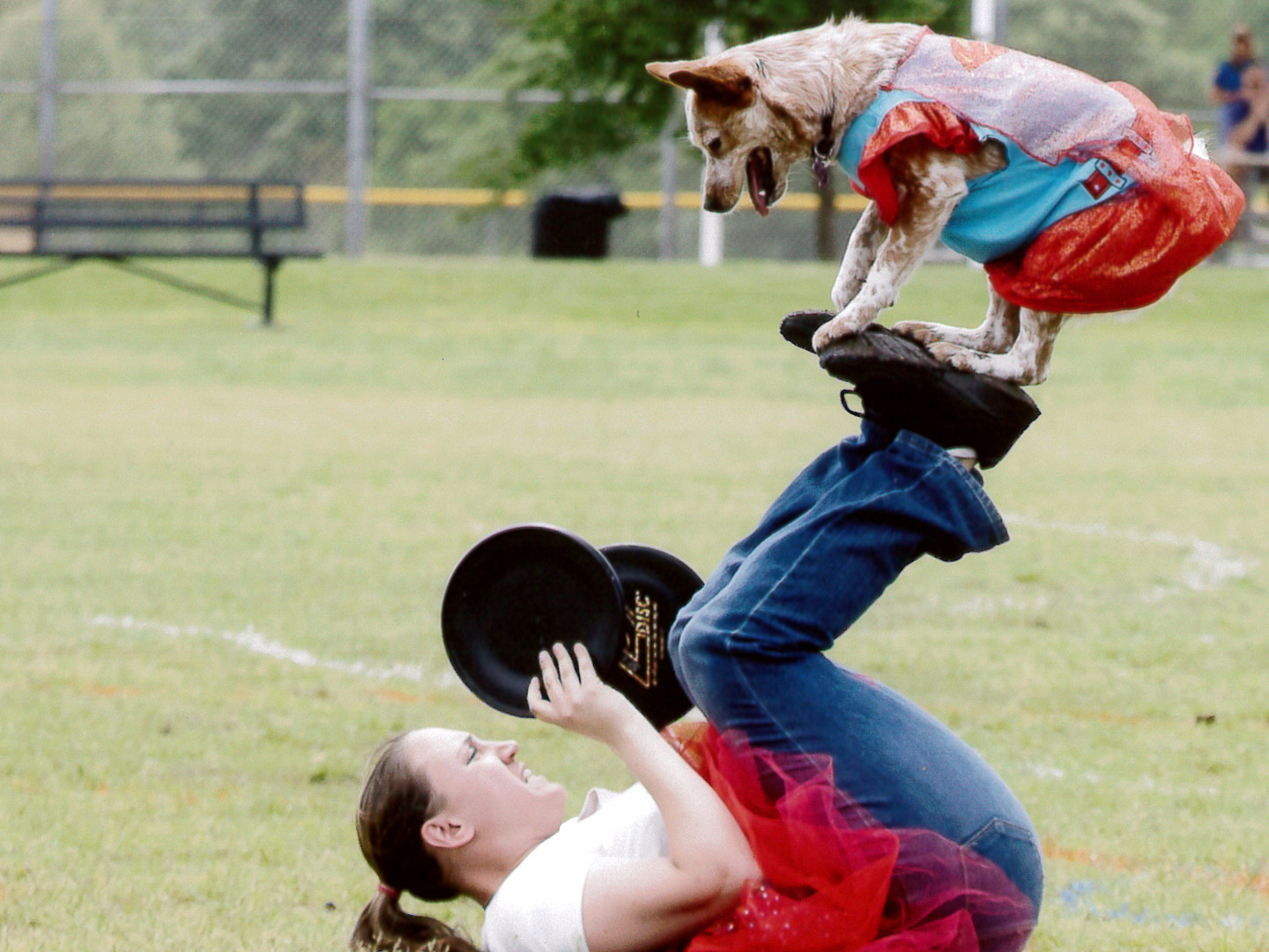 2018 Tyler Frisbee Dog and Disc Championship | The Humane Society's ...