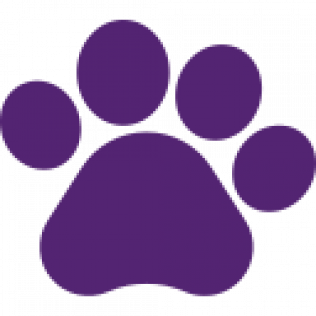 The Humane Society's Pets Fur People: East Texas No Kill Animal Shelter ...