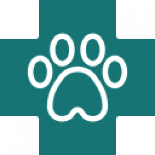The Humane Society's Pets Fur People: East Texas No Kill Animal Shelter ...